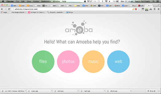 Amoeba » India Art N Design